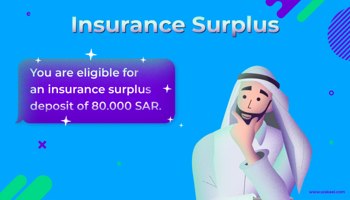 What Should You Know About Surplus Distribution | wakeel